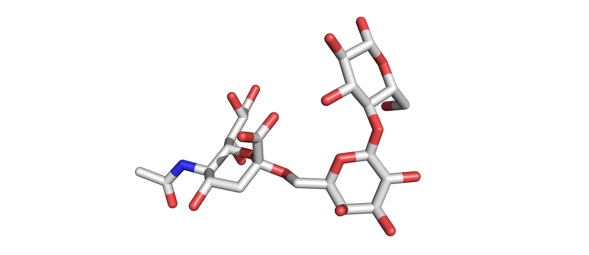 6'SL Analytical Standard – Glycom Analytical Standards